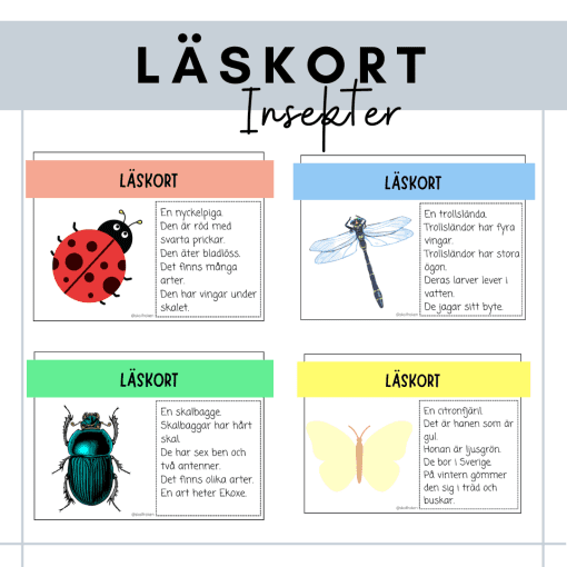 Läskort - insekter | Teach Academy