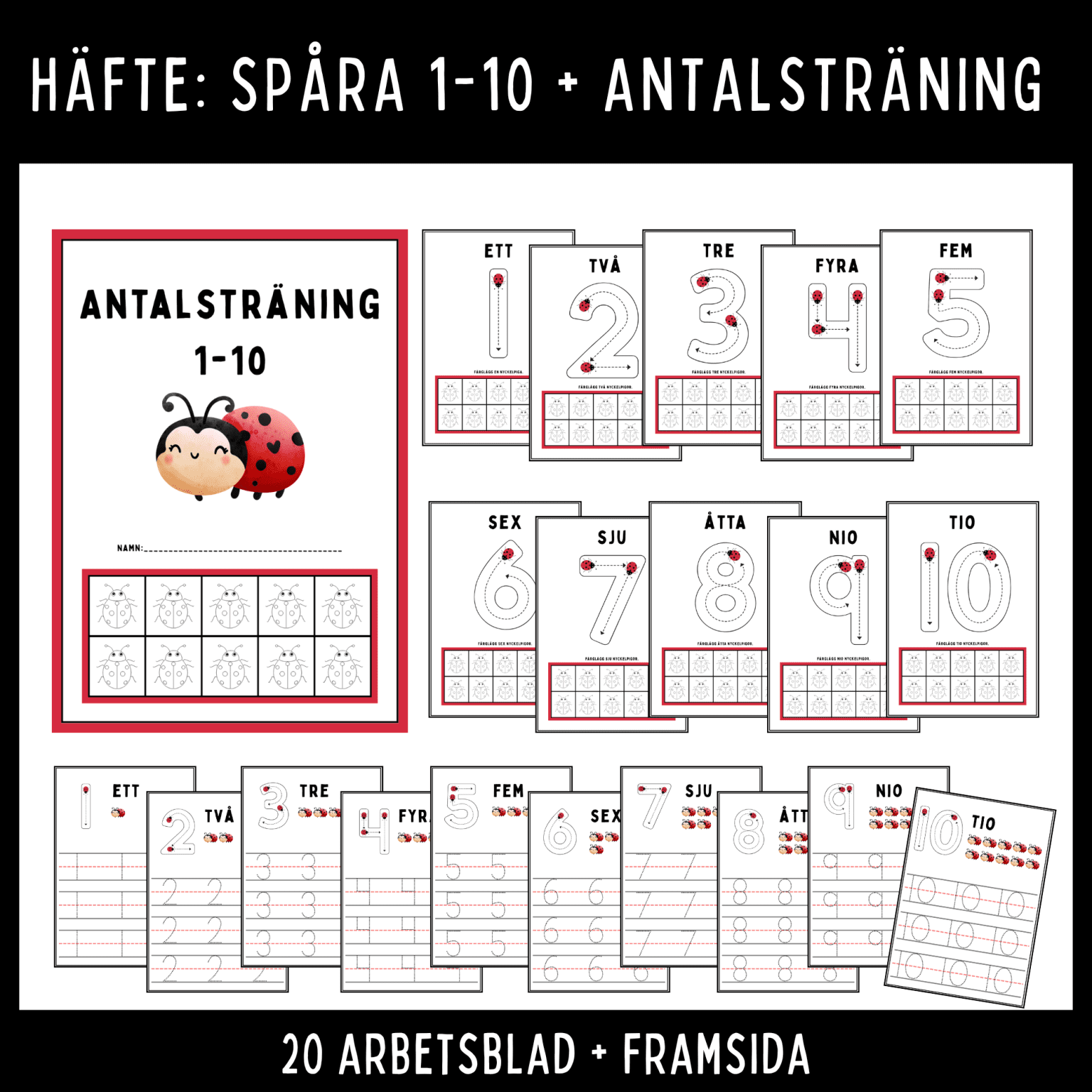 Arbetshäfte Spåra 1–10 och träna antal! | Teach Academy